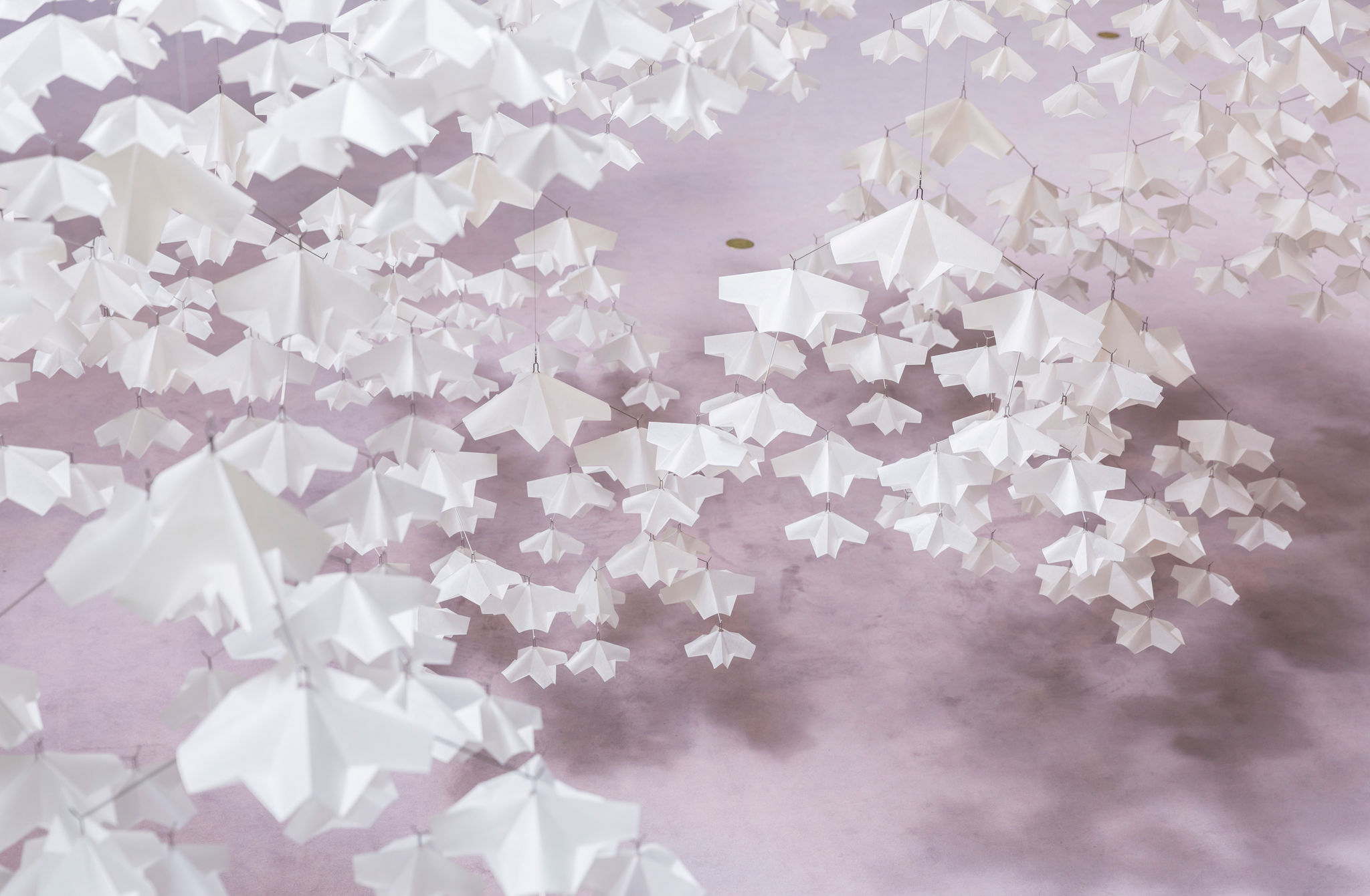 Scenography “Paper/Garden” | atelier oï, architecture and design